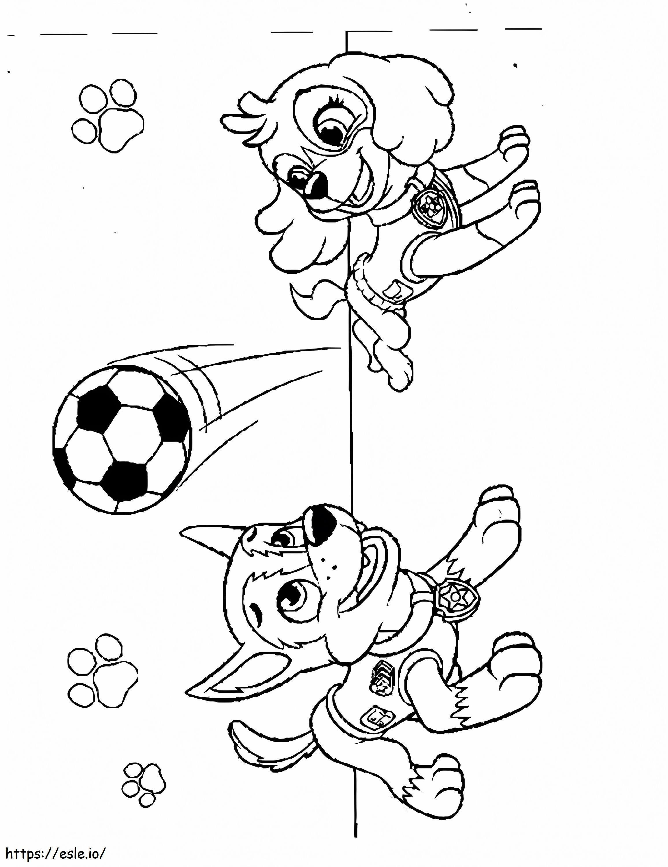 Skye Paw Patrol 12 V rityskuva Skye Paw Patrol 12 V rityskuva