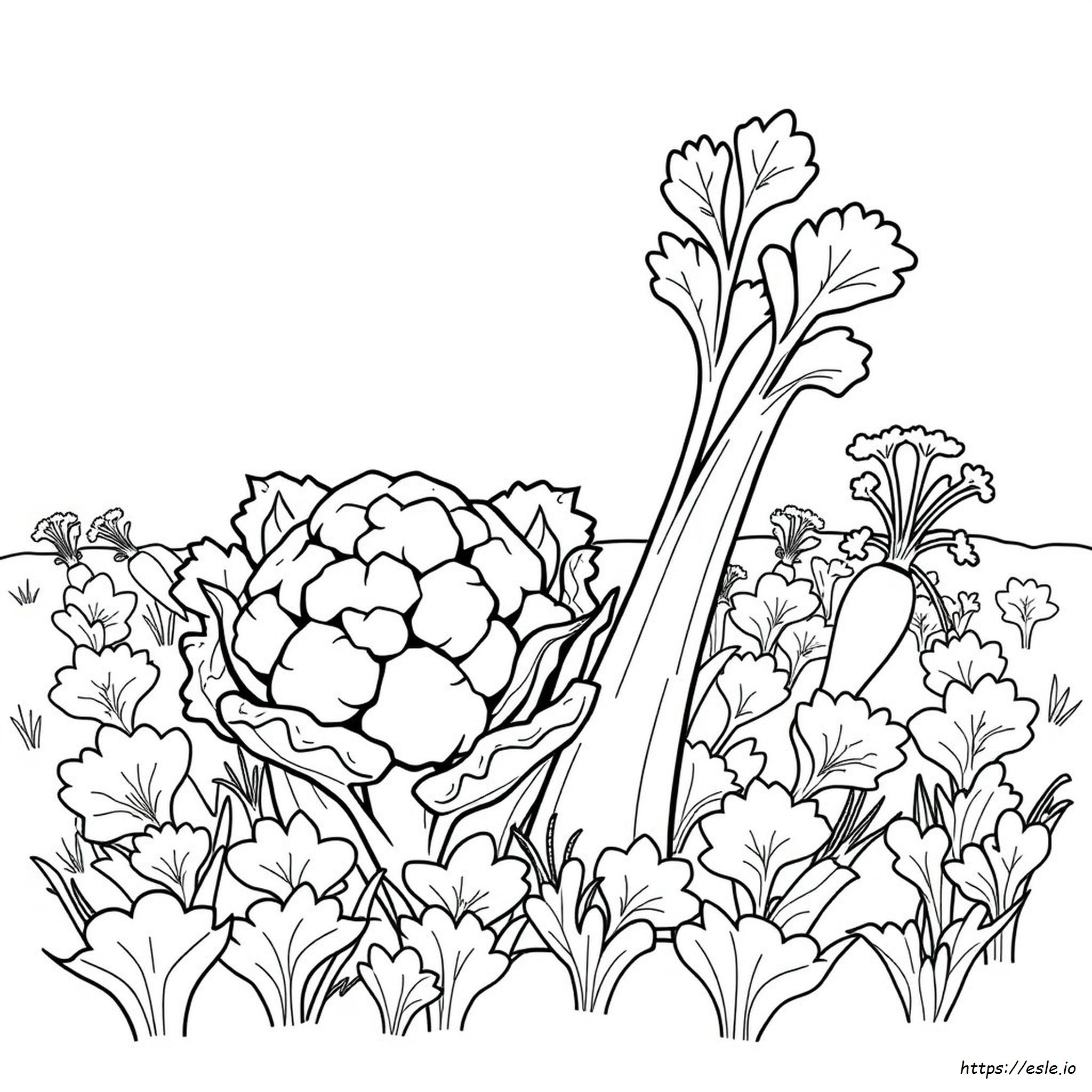 Celery Coloring Page