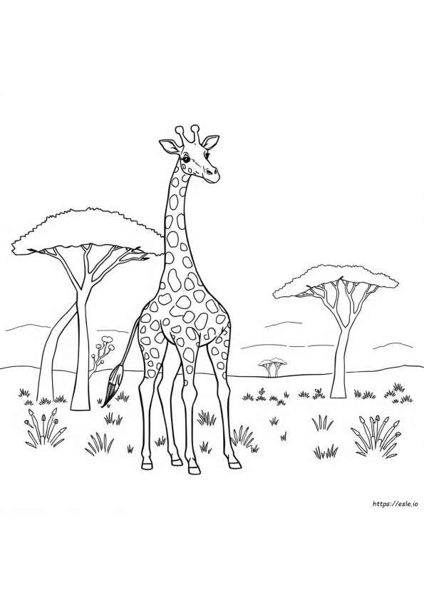 Pewarnaan Jerapah Mewarnai Gambar Gambar Mewarnai Yang Dapat Dicetak