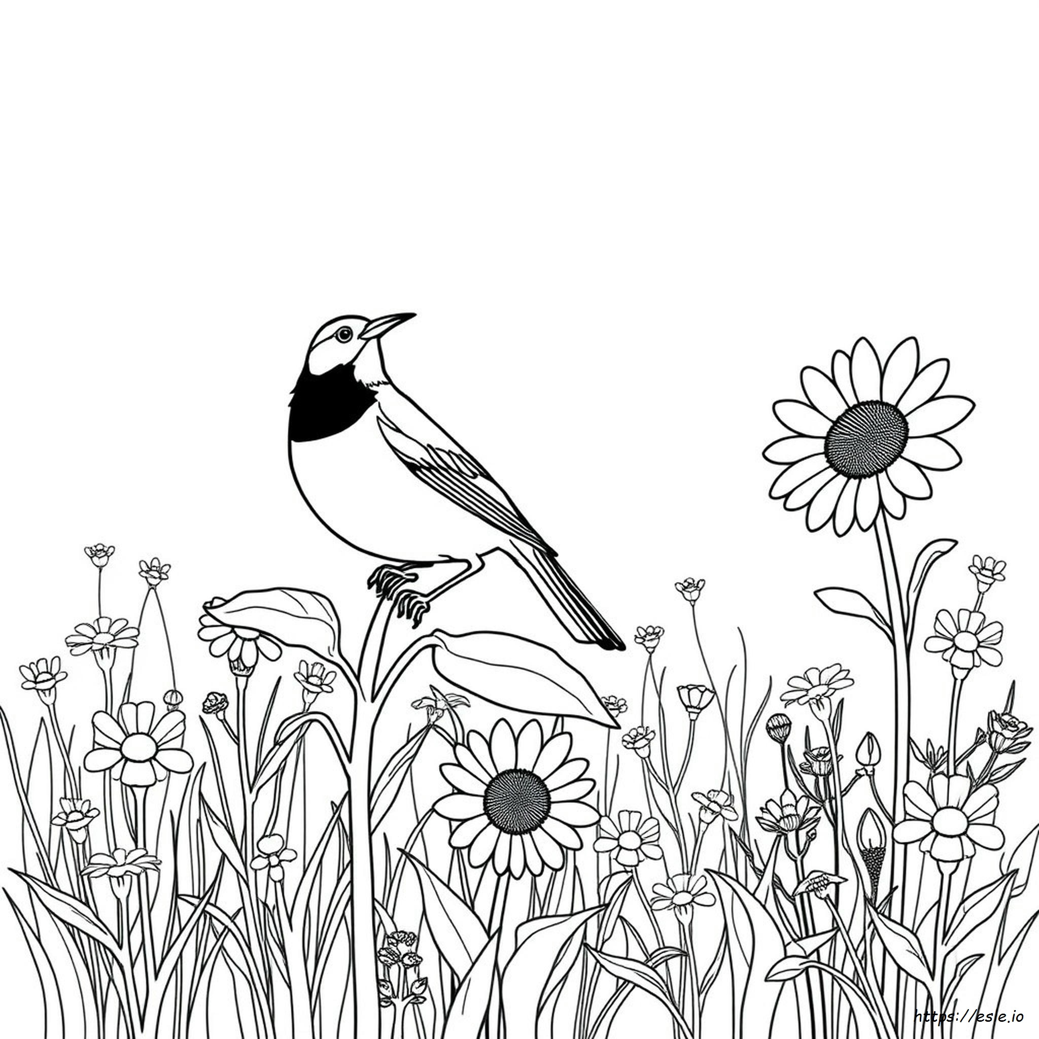 Meadowlark Coloring Page