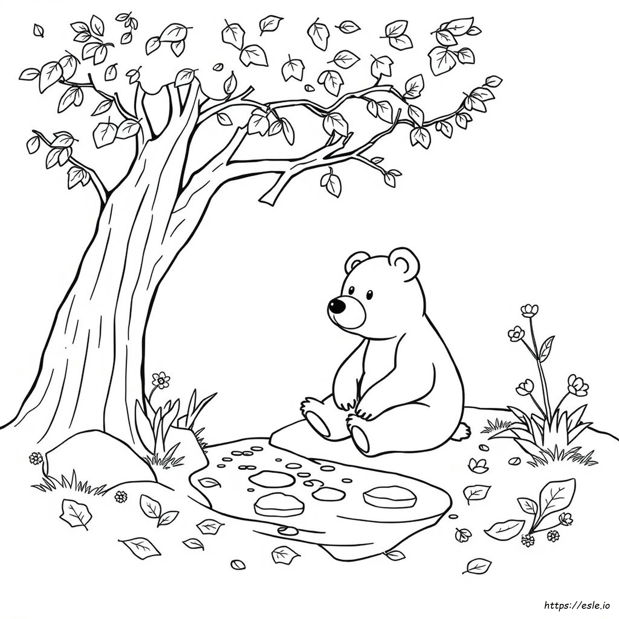 Bear Coloring Template