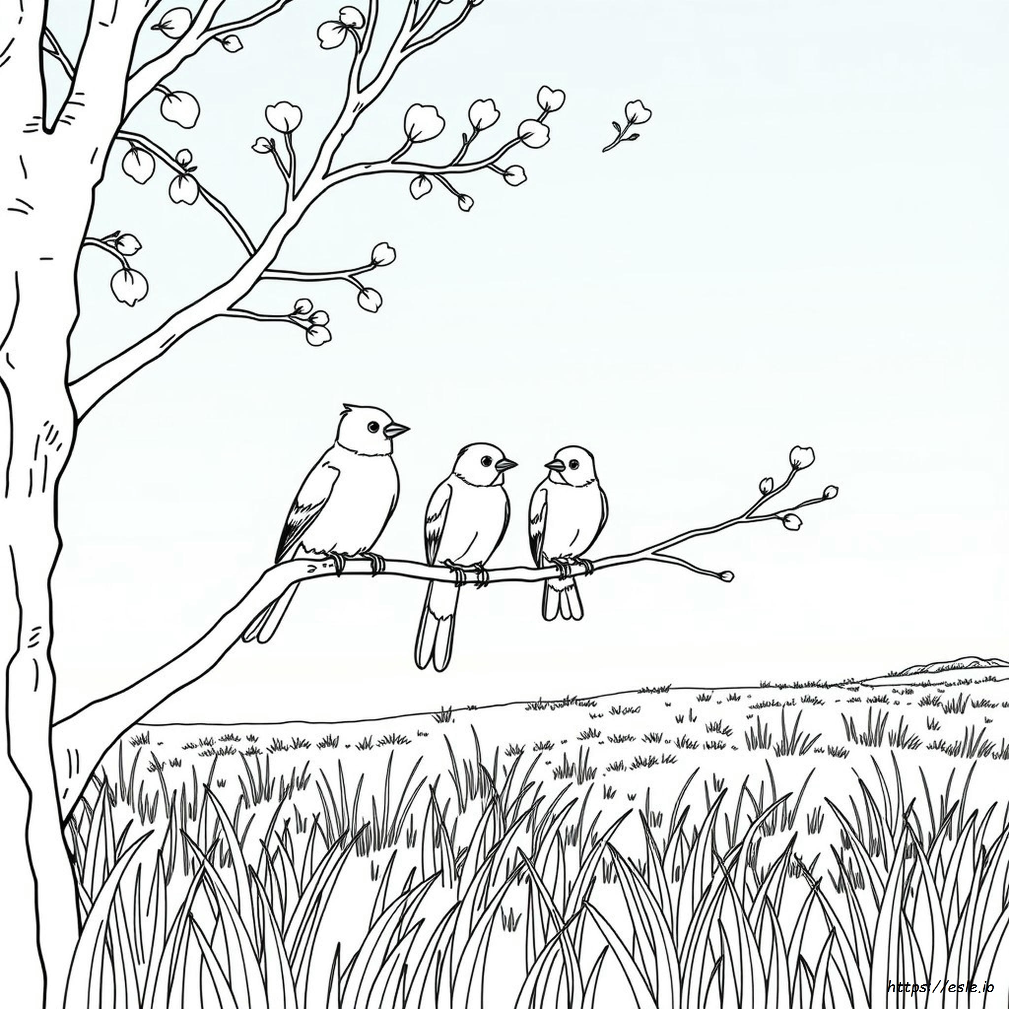 Birds of Connecticut Activity Pages 50 Activities 50 Bird ID Coloring ...