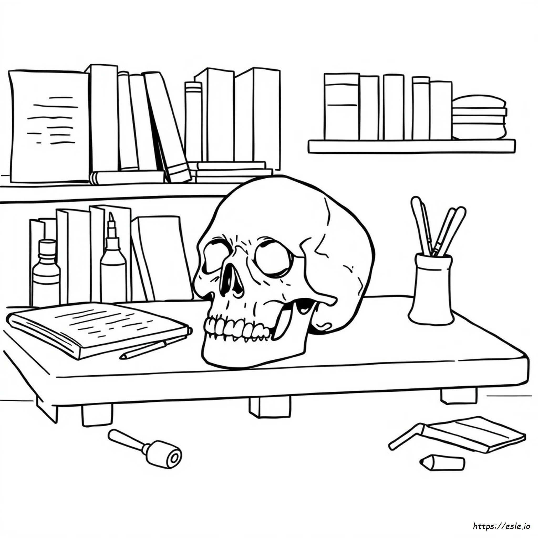 Anatomy Skull Coloring Pages To Print