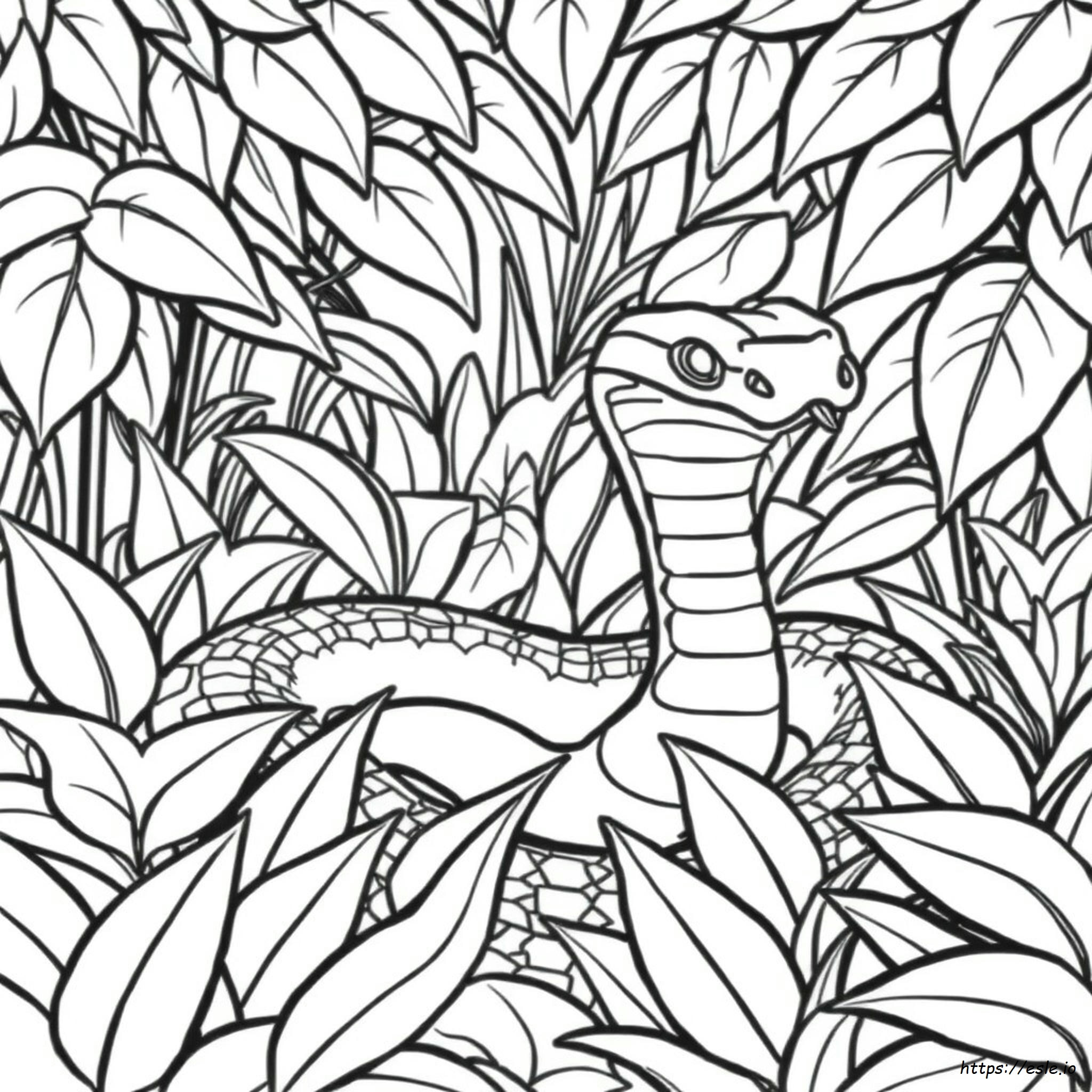 King Cobra Colouring Pages
