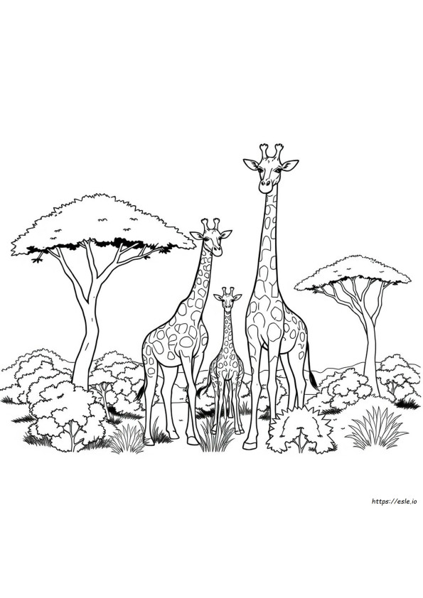 Pewarnaan Jerapah Mewarnai Gambar Gambar Mewarnai Yang Dapat Dicetak