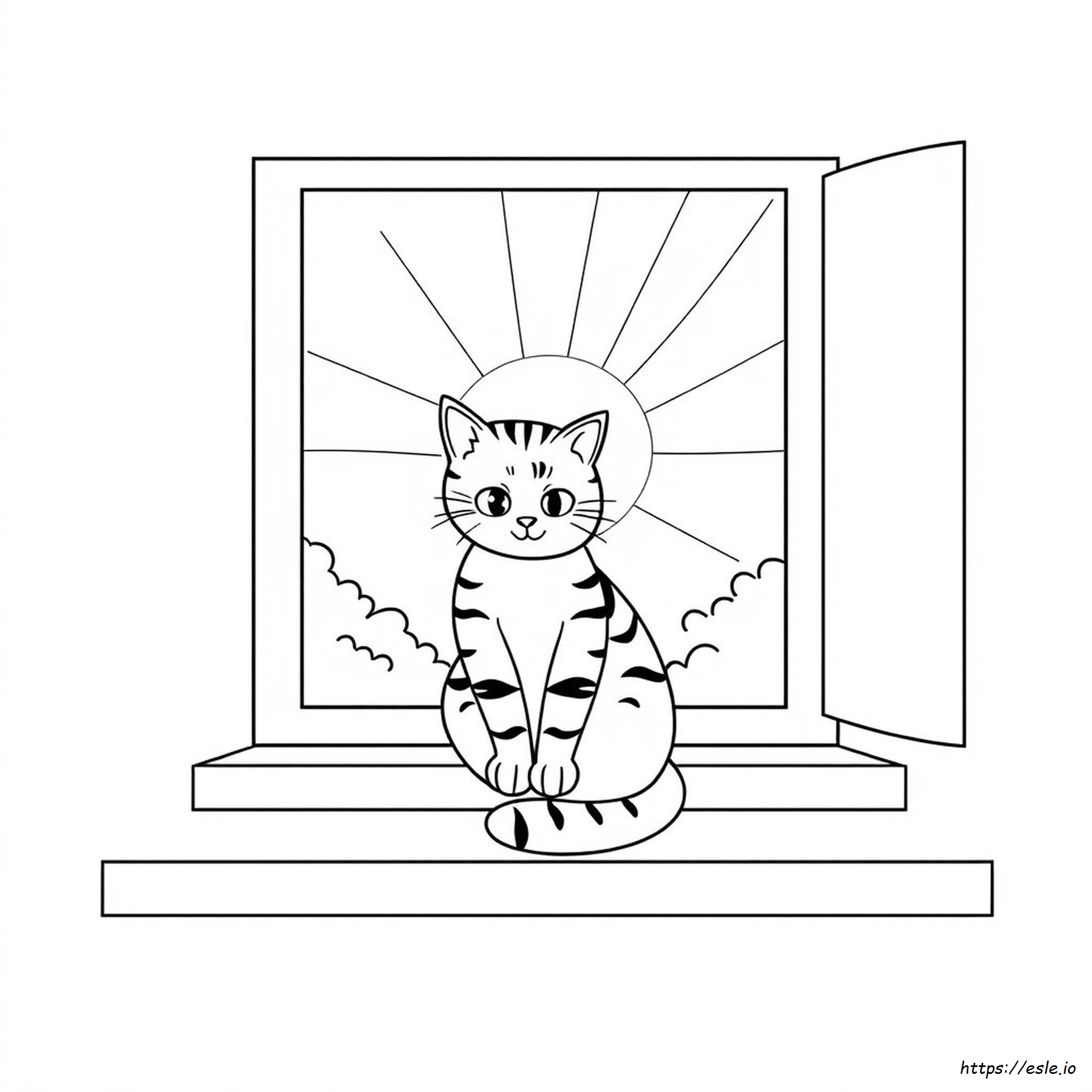 How To Color A Tabby Cat