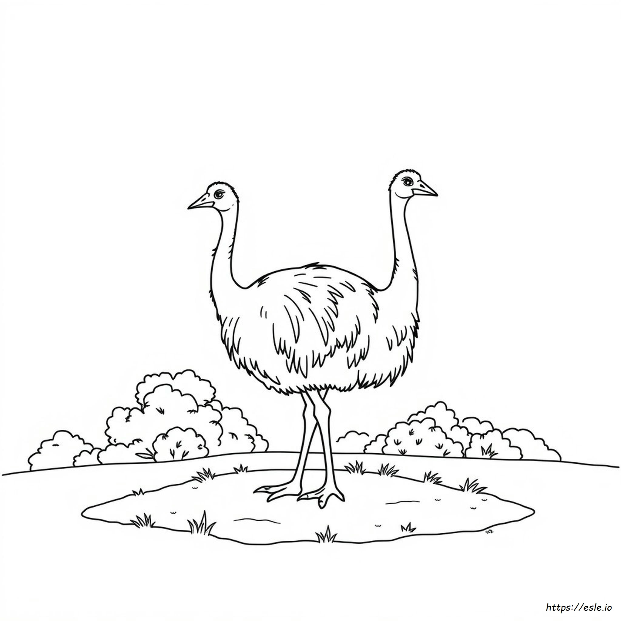 Emu Colouring In