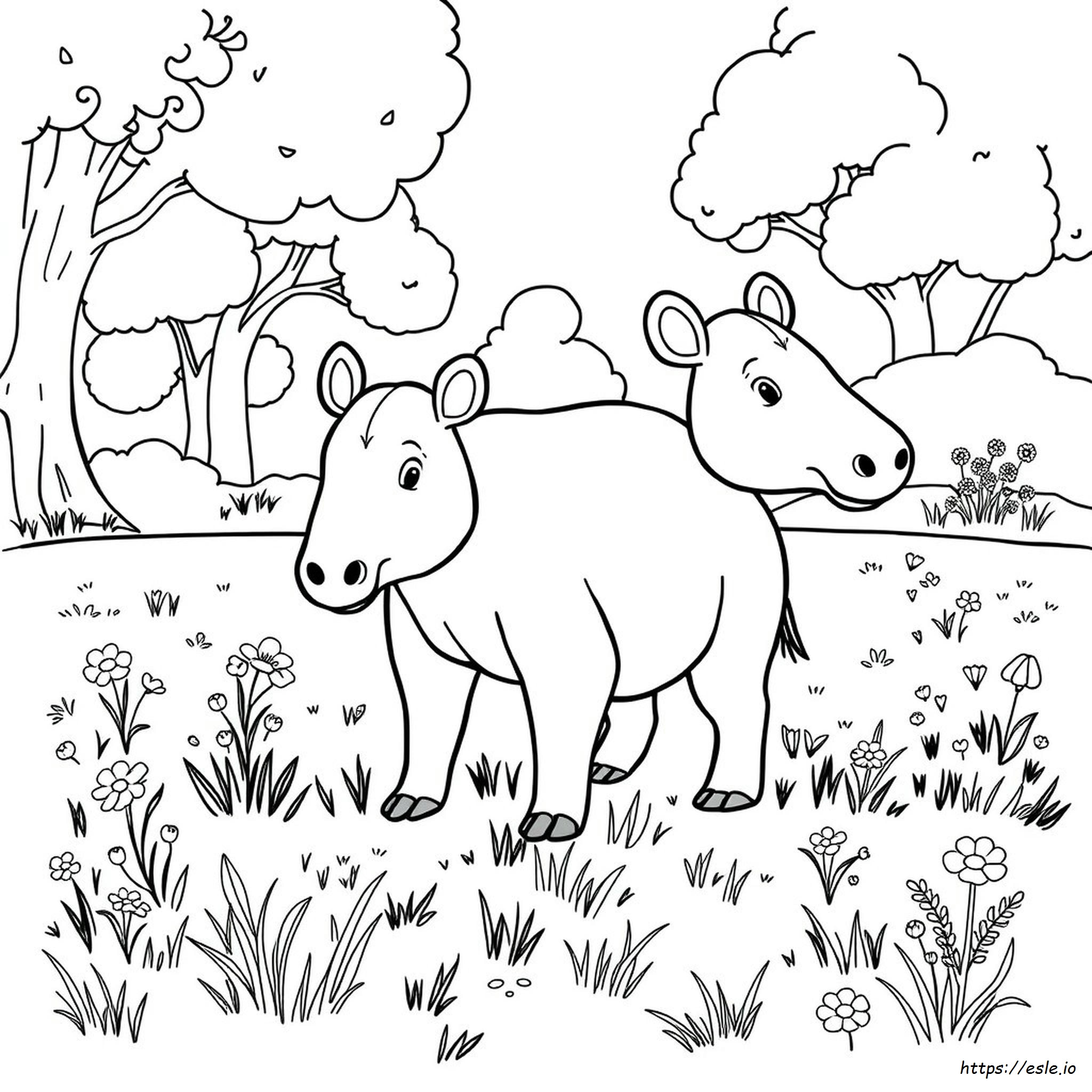 Coloriages De Tapirs