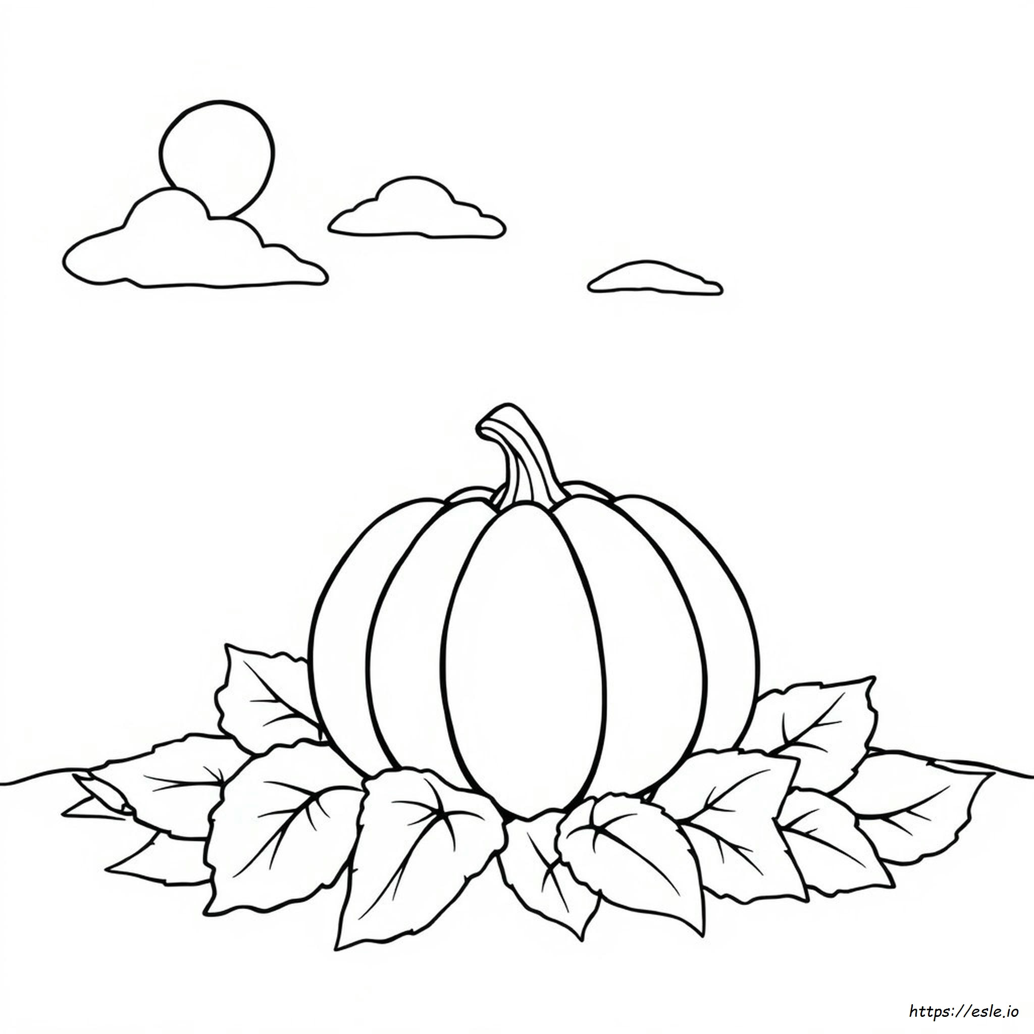Pumpkin Pictures Coloring Pages