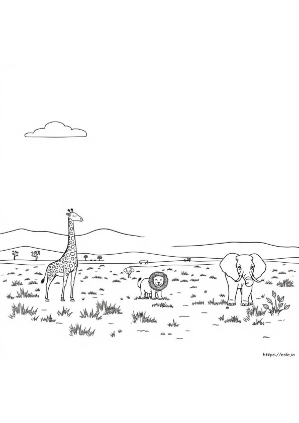 Animales De La Sabana Para Colorear