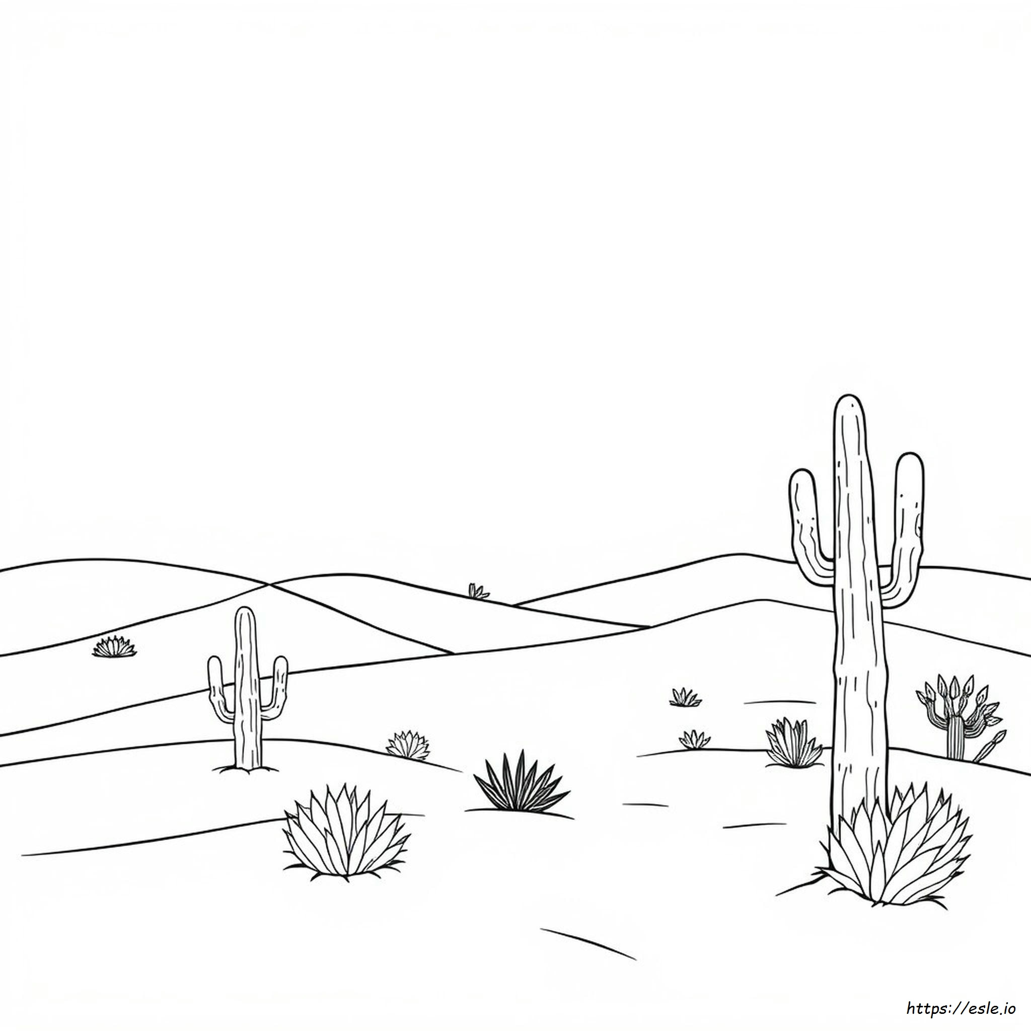 Desierto Para Colorear