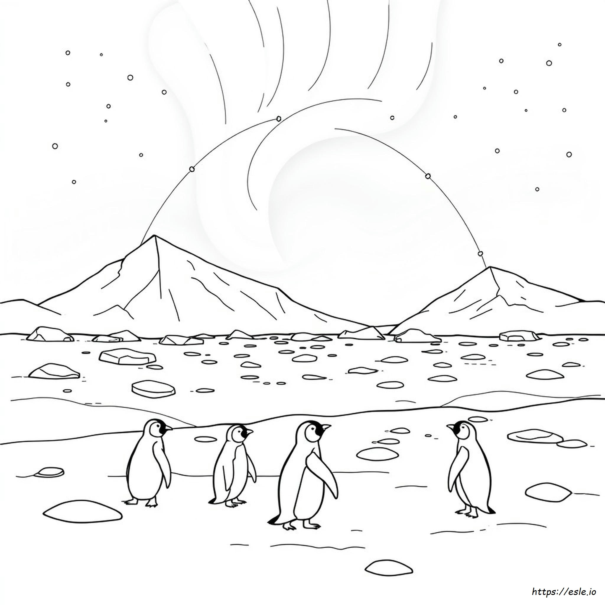 Coloriages Habitat Arctique