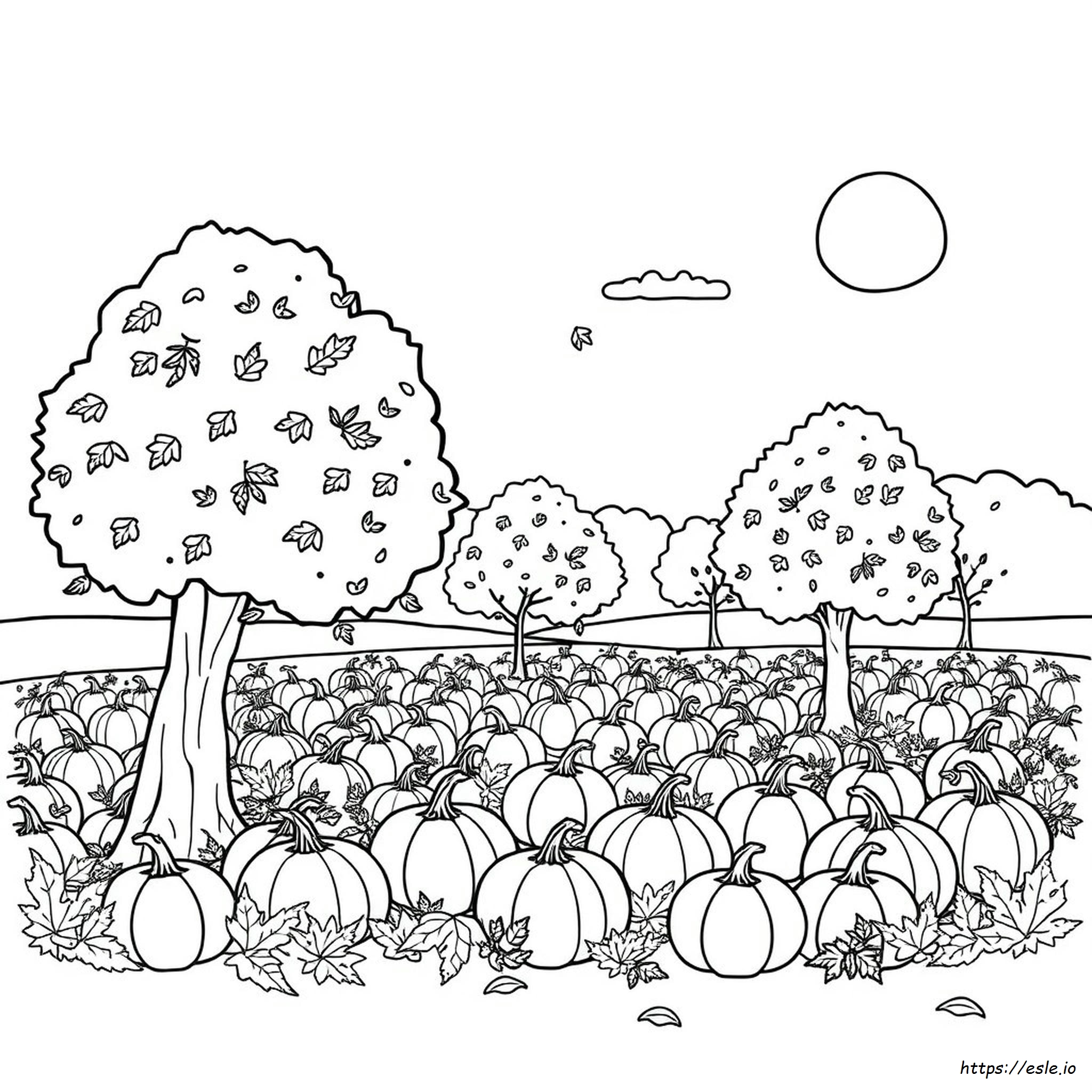 Autumn Themed Coloring Pages