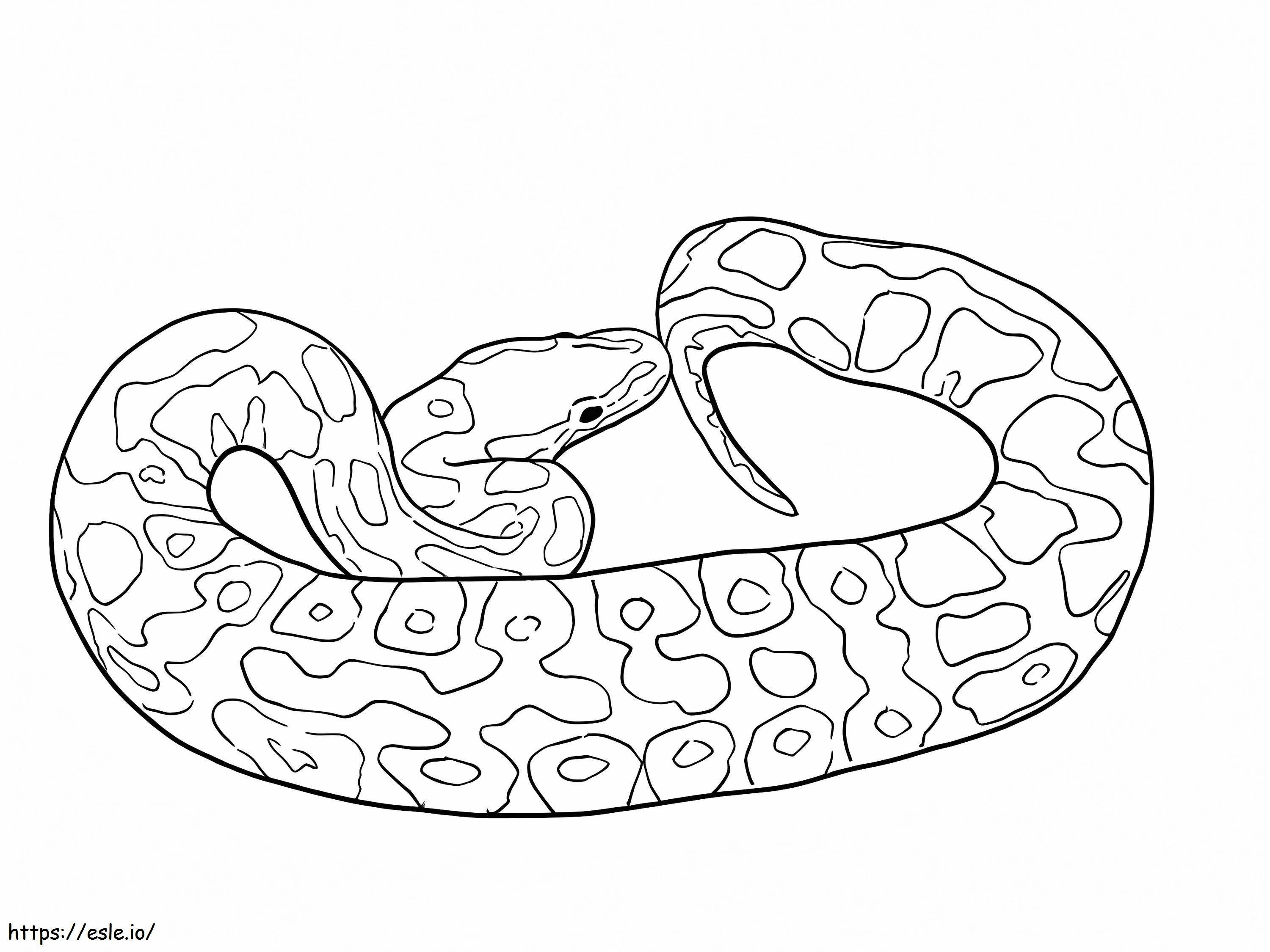 Python Printable Coloring Page