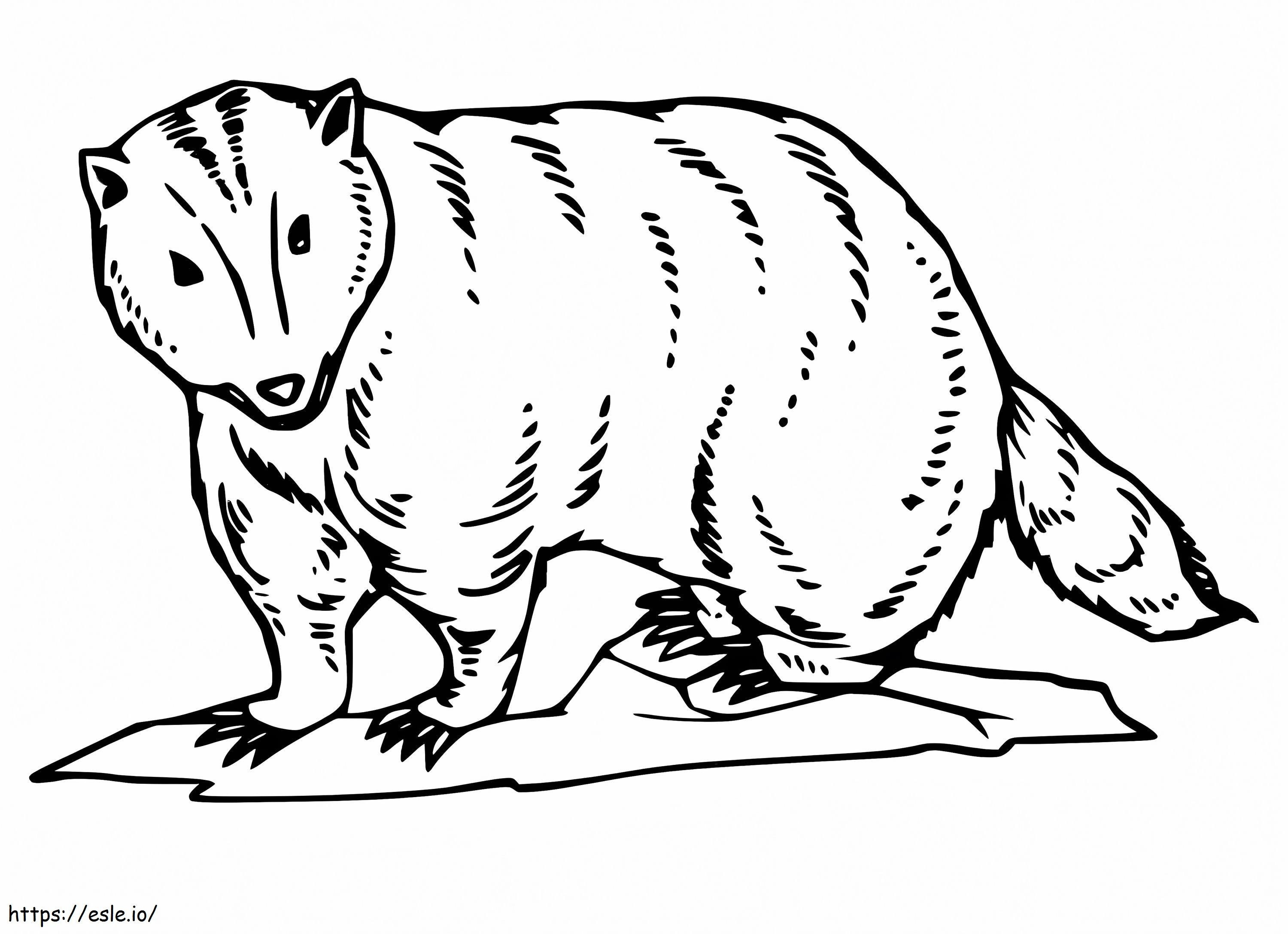 Basic Badger coloring page